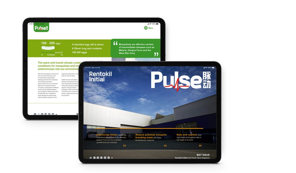Newsletter Editorial & Artwork | Creativoo Creative Consultancy