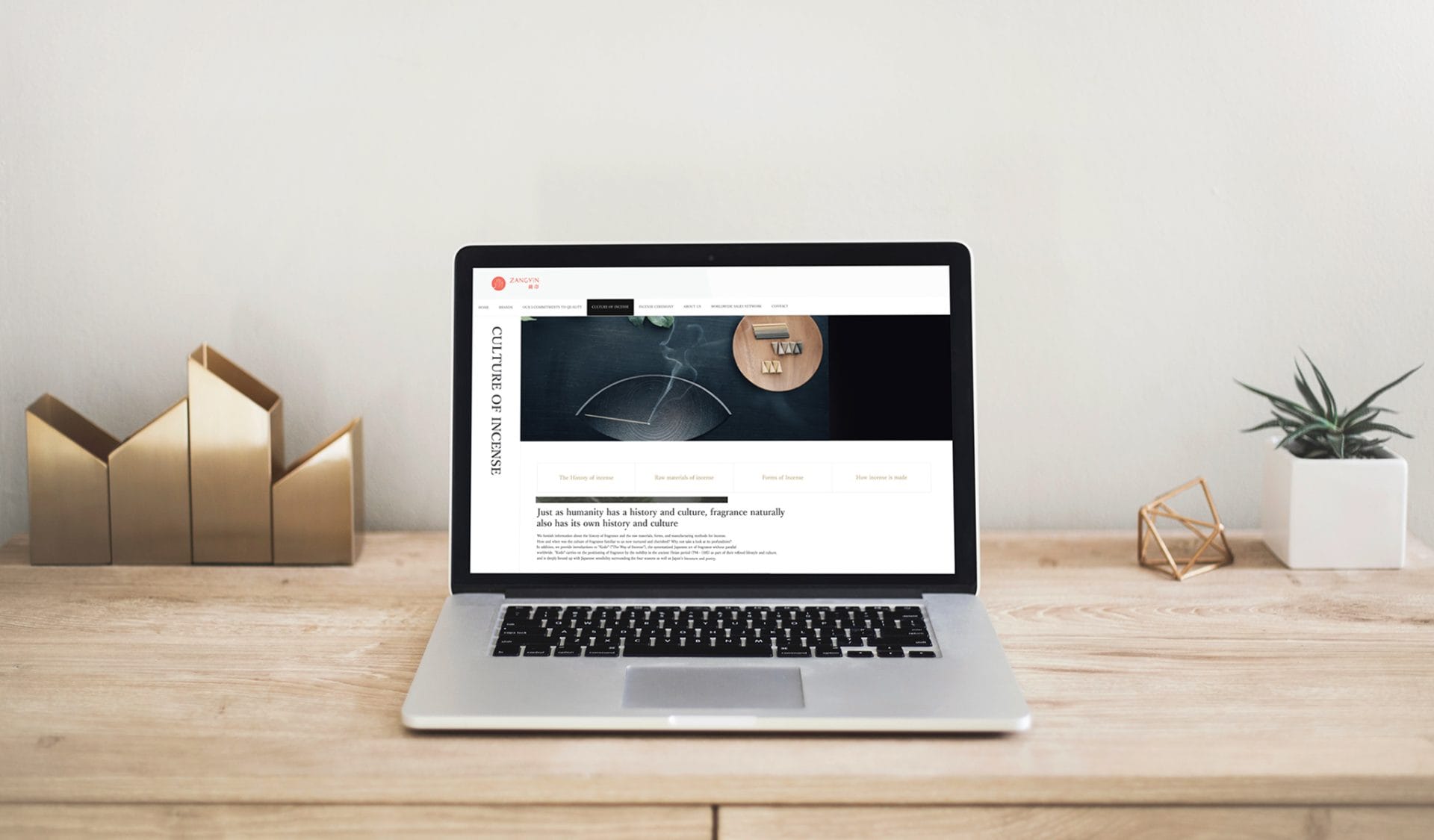 Branding & Visual Identity | Creativoo Creative Consultancy